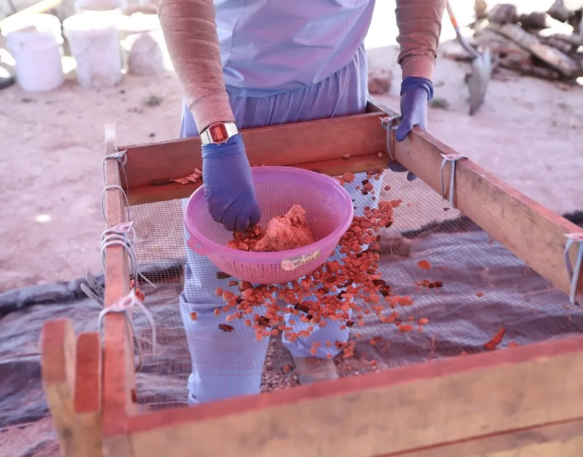 Ninguna evidencia de crematorios en rancho Izaguirre de Teuchitlán | La ...