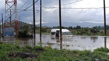 La Jornada Hidalgo