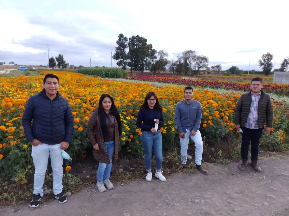 Anuncian Festival de las Flores en Doxey | La Jornada Hidalgo