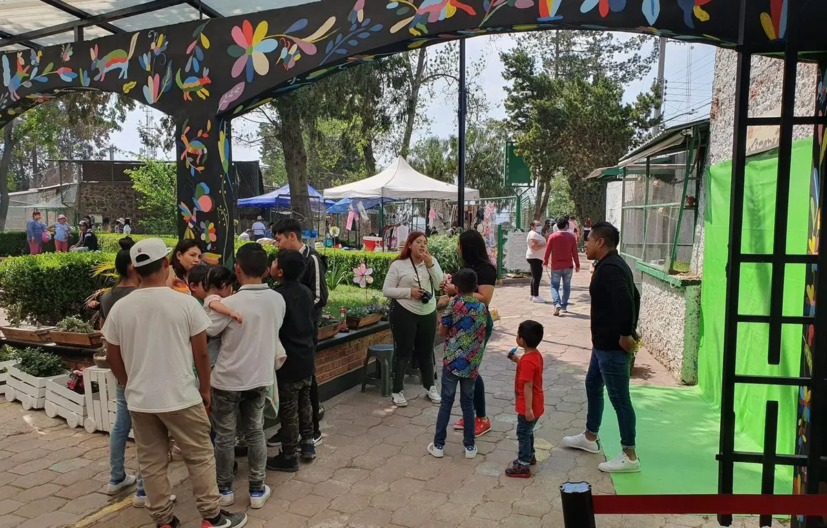 Visita el Zoológico de Tulancingo y conoce más de 400 animales en un ...