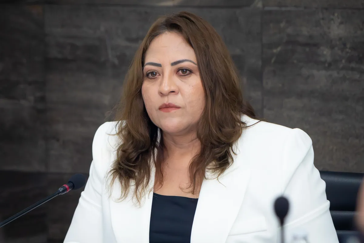 TEEH no acredita violencia política de presidenta del IEEH contra ...