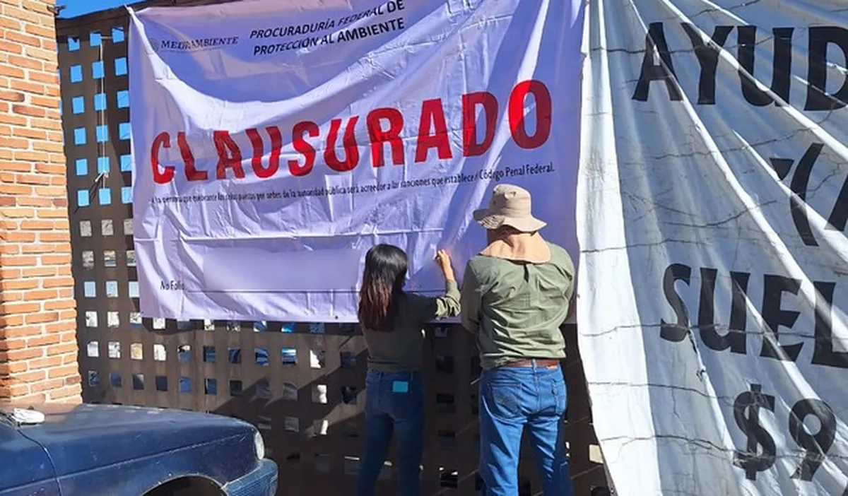 Tepeji del Río: empresa clausurada opera de manera clandestina | La ...